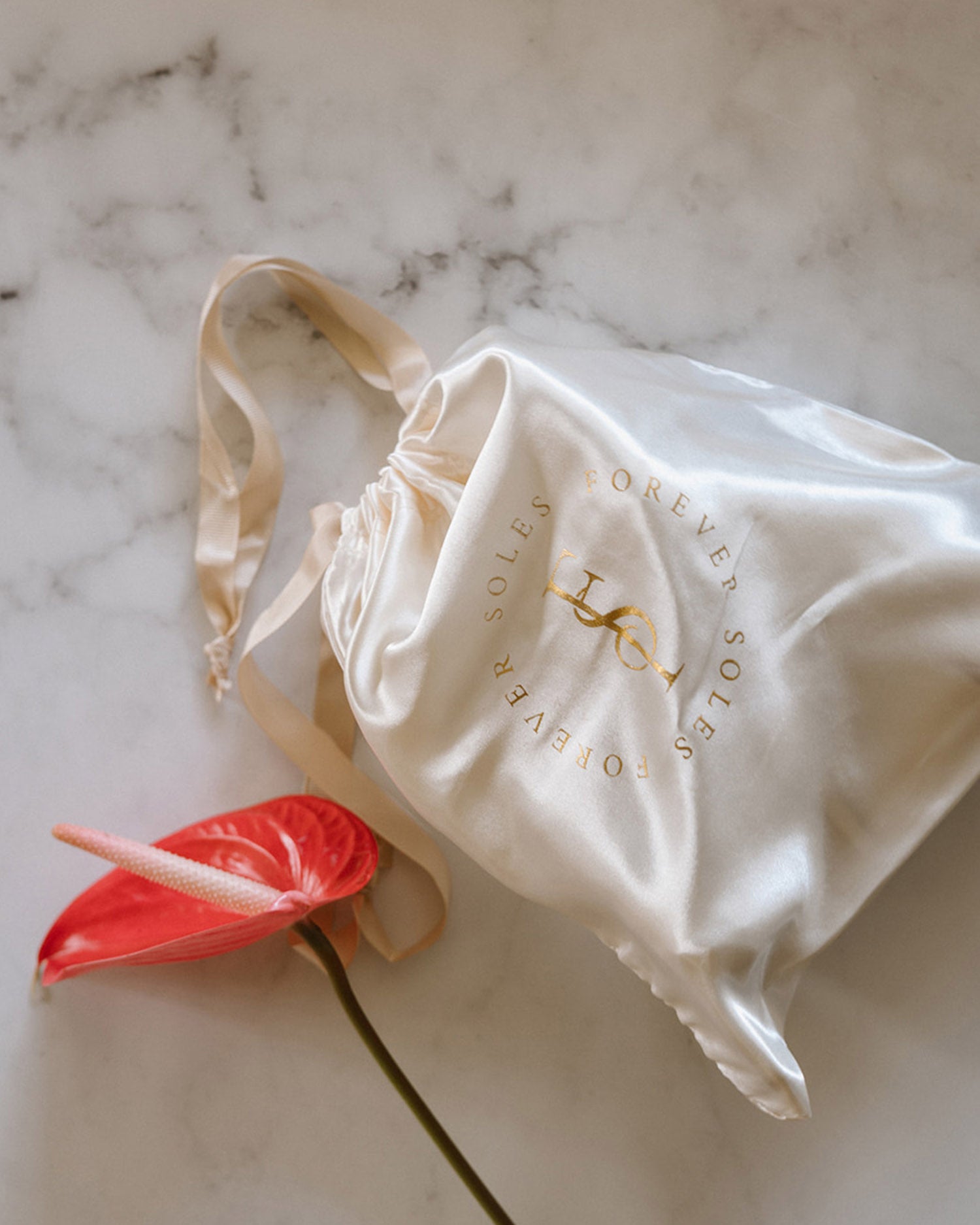 Forever Soles Satin Shoe Bag